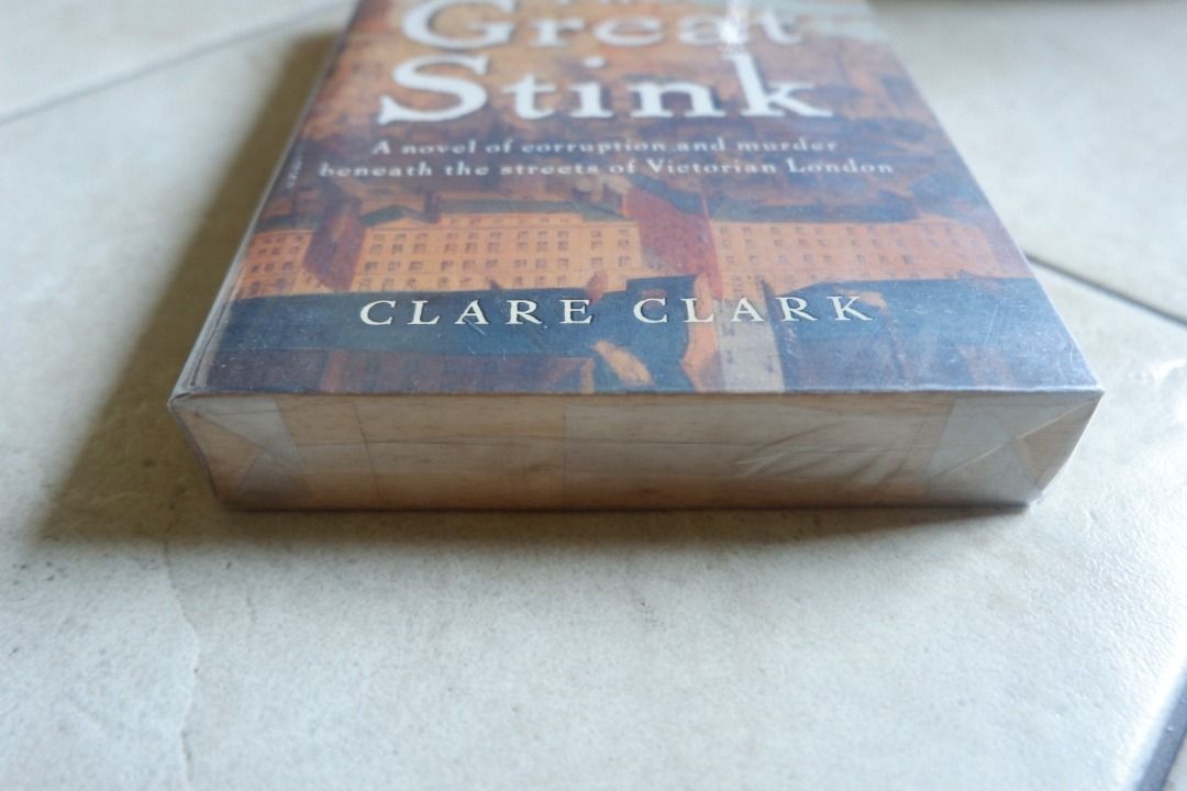 The Great Stink by Clare Clark, Hobbies & Toys, Books & Magazines, Fiction & Non-Fiction on ...