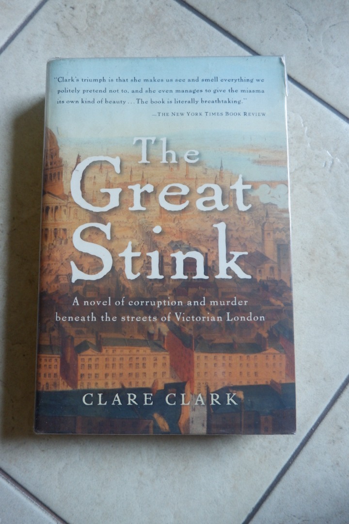 The Great Stink by Clare Clark, Hobbies & Toys, Books & Magazines, Fiction & Non-Fiction on ...