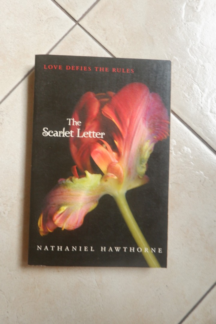 The Scarlet Letter by Nathaniel Hawthorne, Hobbies & Toys, Books ...