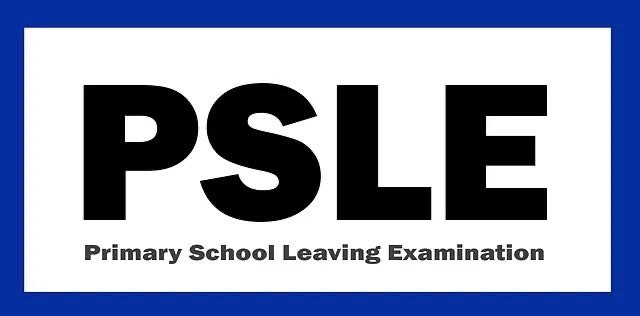 PSLE Past Year Papers Set (22 cents each paper) and Topical Papers ...