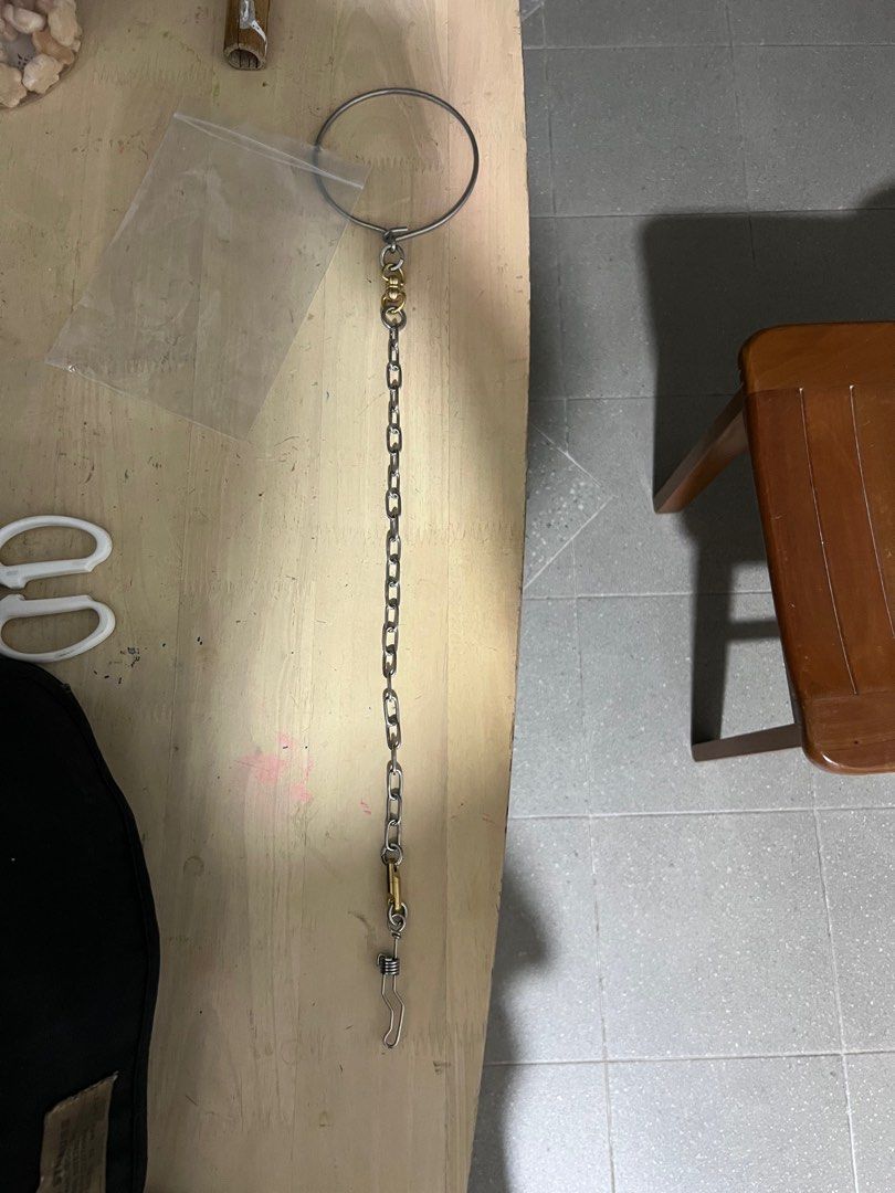 304 stainless steel leg chain for large birds, Pet Supplies, Homes ...