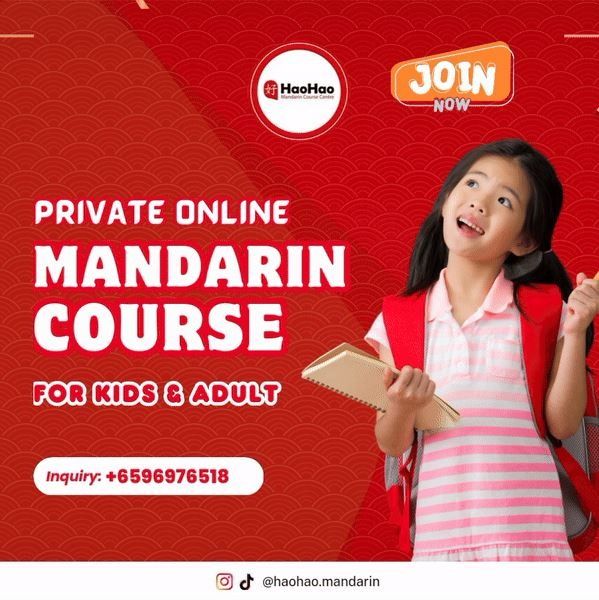 Private Online Mandarin Course | Private 1-1 Online Chinese Tuition ...