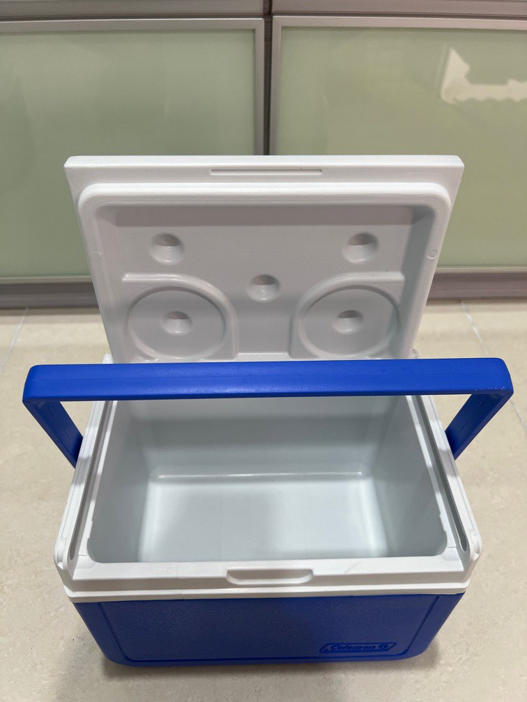 COLEMAN mini COOLER Box 4.5L, Furniture & Home Living, Kitchenware ...
