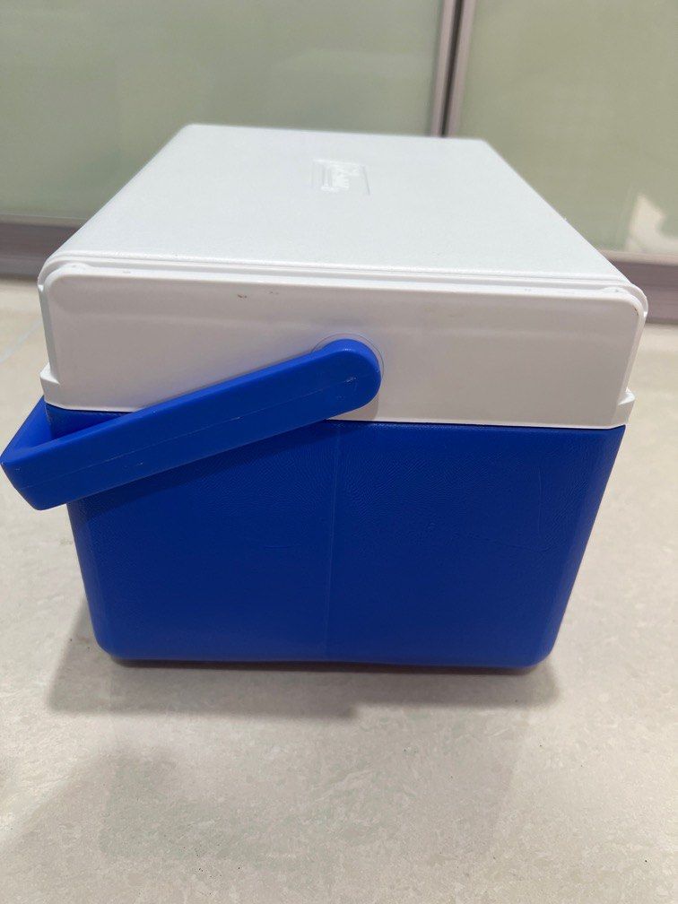 COLEMAN mini COOLER Box 4.5L, Furniture & Home Living, Kitchenware ...