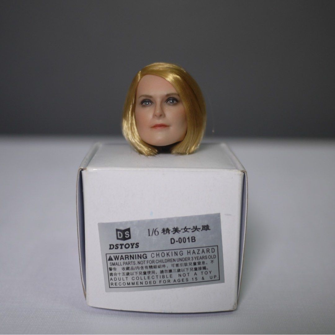 DS Toys D-001B female beauty head sculpt for 1/6 scale figures, Hobbies ...