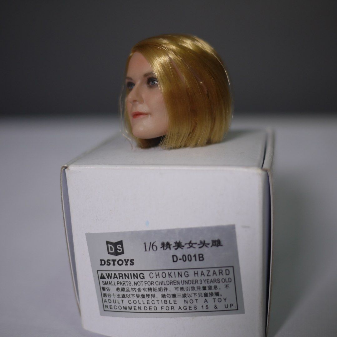 DS Toys D-001B female beauty head sculpt for 1/6 scale figures, Hobbies ...