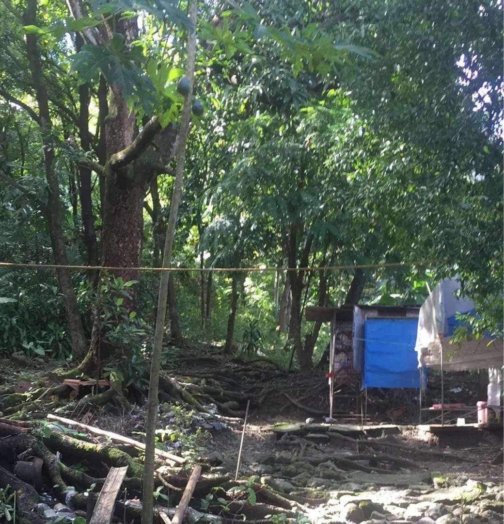 LOT ALONG NATIONAL ROAD E. RODRIGUEZ AVE. BRGY MAY IBA TERESA RIZAL ...