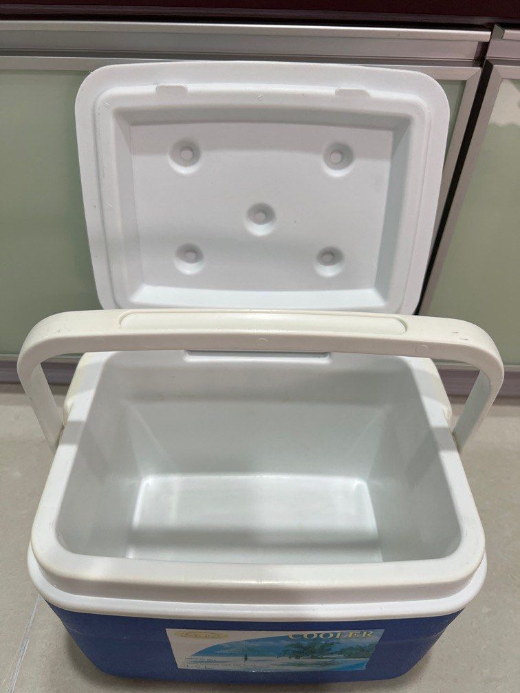 Mini Cooler Box 4.5L, TV & Home Appliances, Kitchen Appliances, Other ...