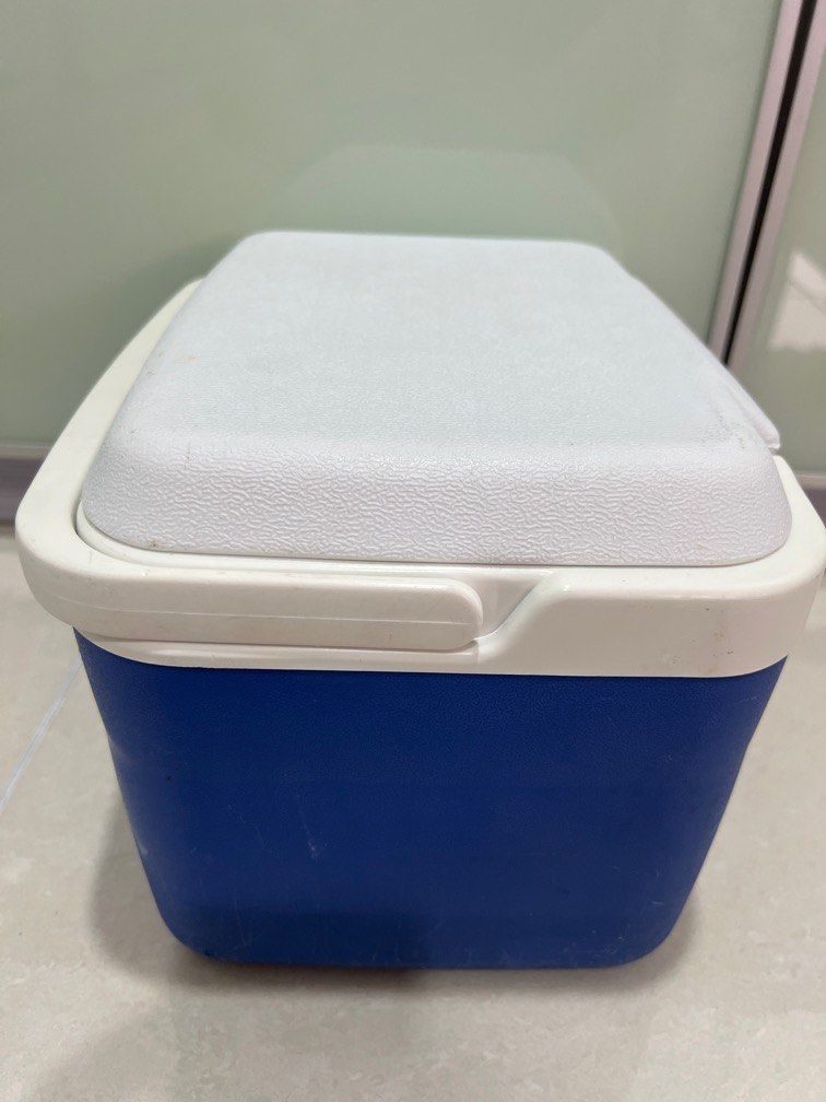 Mini Cooler Box 4.5L, TV & Home Appliances, Kitchen Appliances, Other ...