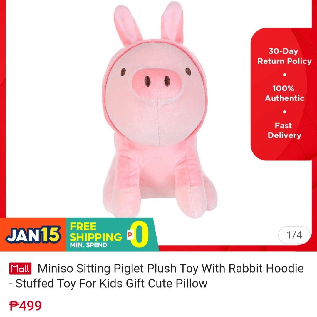 Miniso Sitting Piglet Plush Stuff Toy w/ Rabbit Hoodie, Hobbies & Toys ...