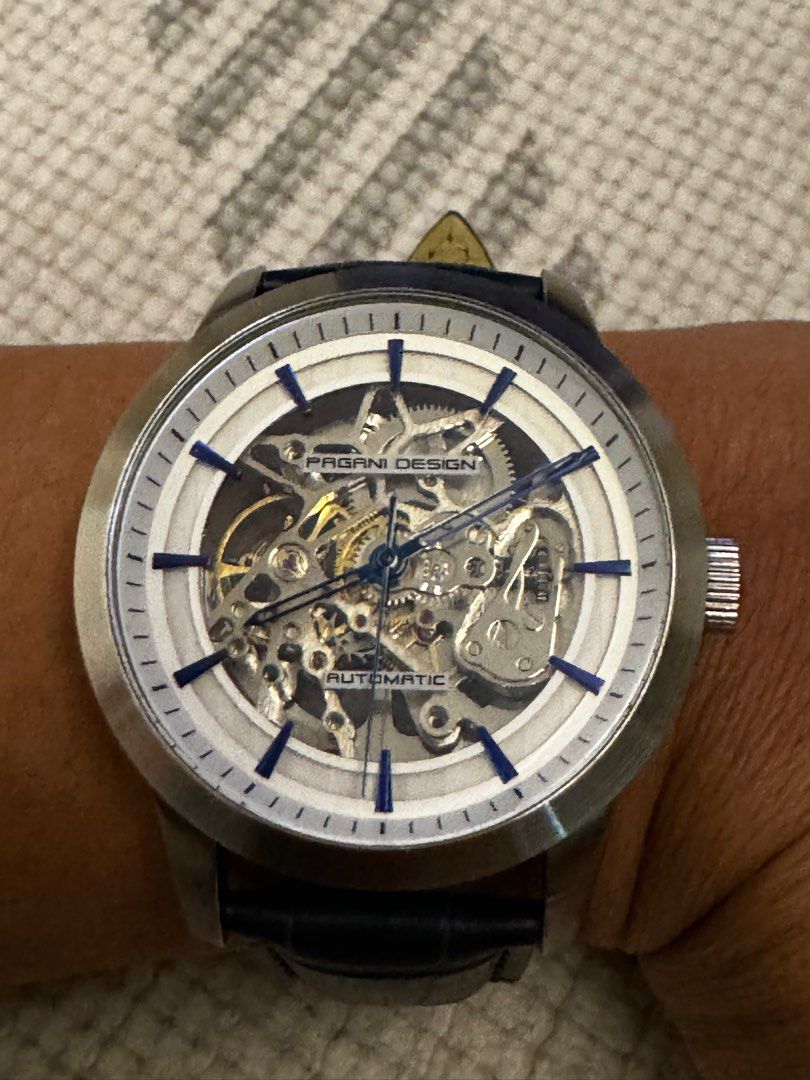 Pagani Design Skeleton Watch, Men's Fashion, Watches & Accessories ...