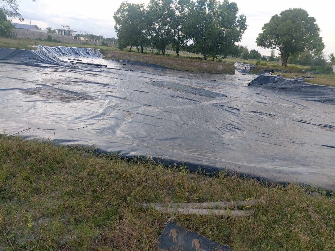 Portable Fish Pond-Pond/HDPE Liner, Everything Else, Others on Carousell