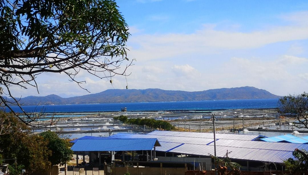 2,450 sqm Unobstructed seaview lot at Tanagan Calatagan Batangas ...