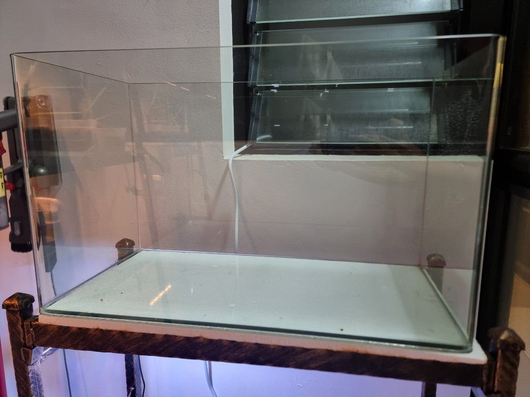 2Ft Fish Tank With Rack, Pet Supplies, Homes & Other Pet Accessories on ...
