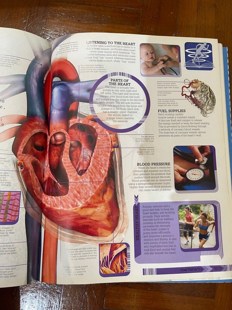 Book (medical), Hobbies & Toys, Books & Magazines, Storybooks on Carousell