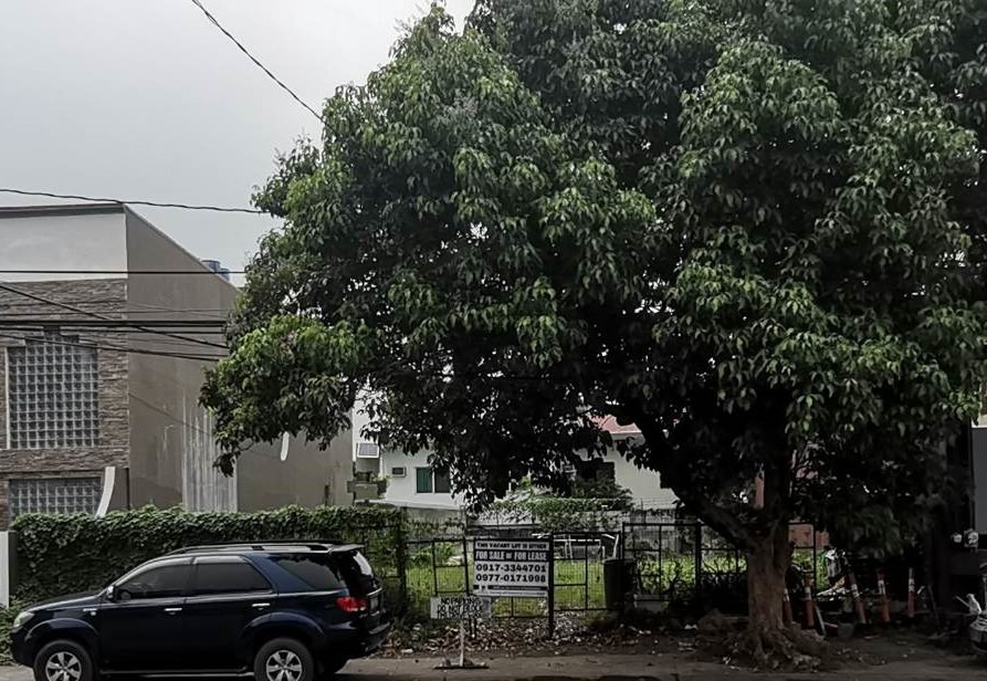 Commercial Lot inside BF Resort, Property, For Sale, Lot on Carousell