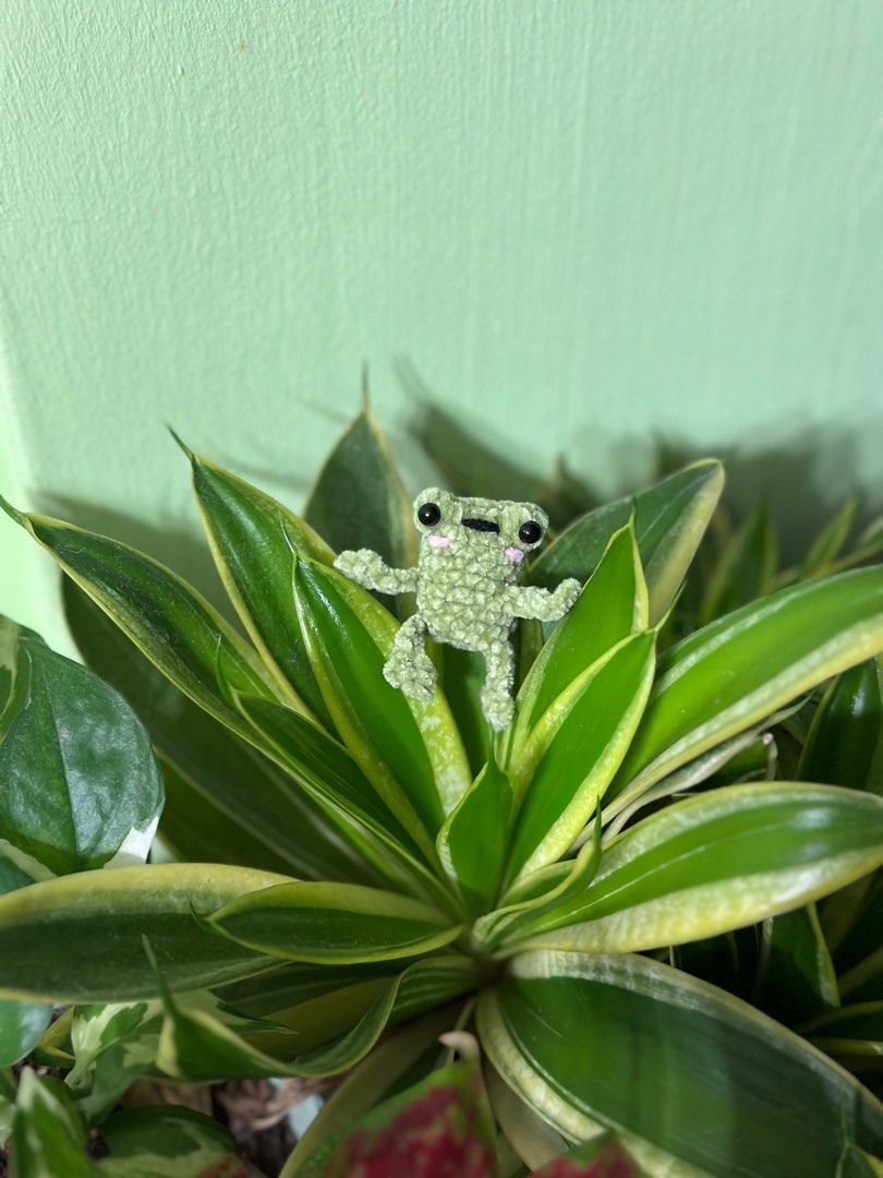 Crochet Mini Fluffy Leggy Frog Plushie/Keychain/Brooch, Hobbies & Toys ...