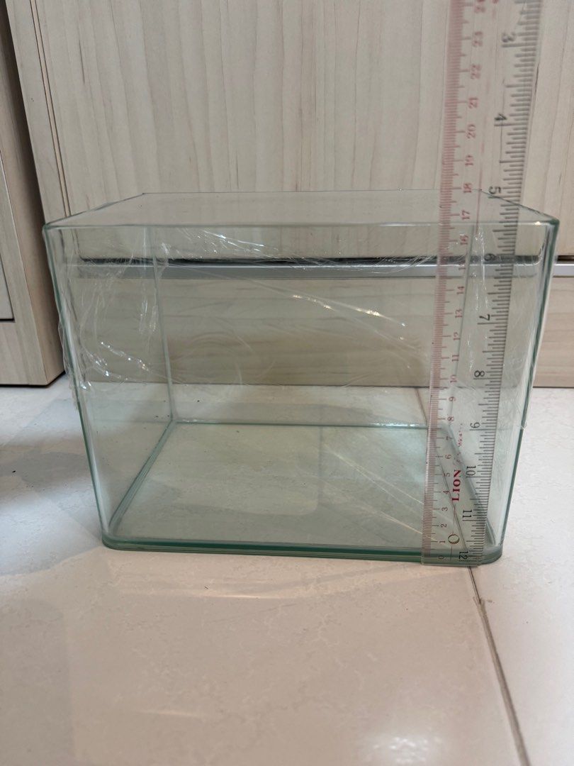 Curved edge mini fish tank, Pet Supplies, Homes & Other Pet Accessories ...