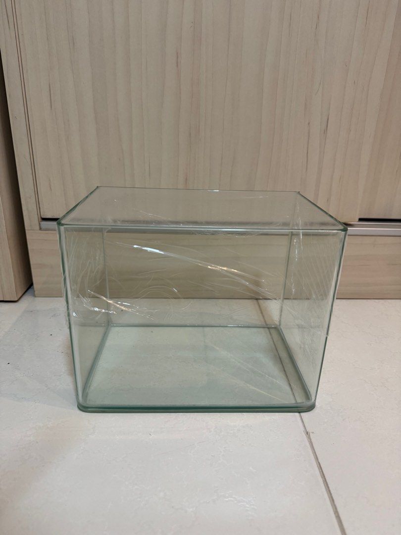 Curved edge mini fish tank, Pet Supplies, Homes & Other Pet Accessories ...