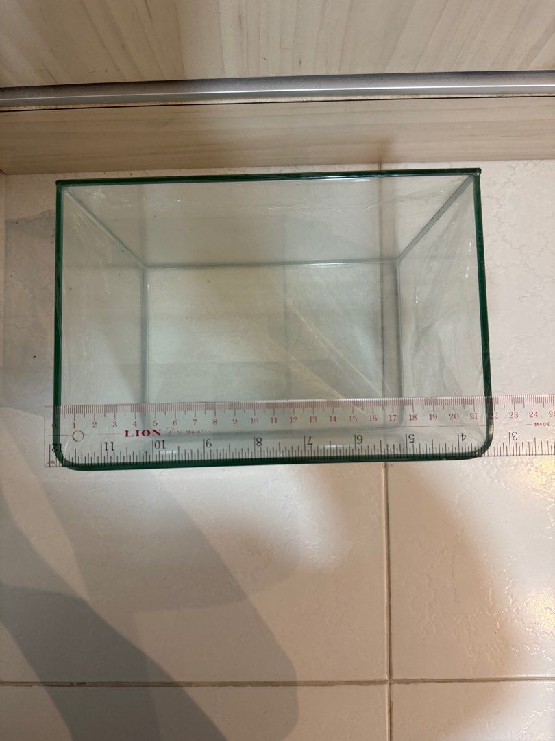 Curved edge mini fish tank, Pet Supplies, Homes & Other Pet Accessories ...