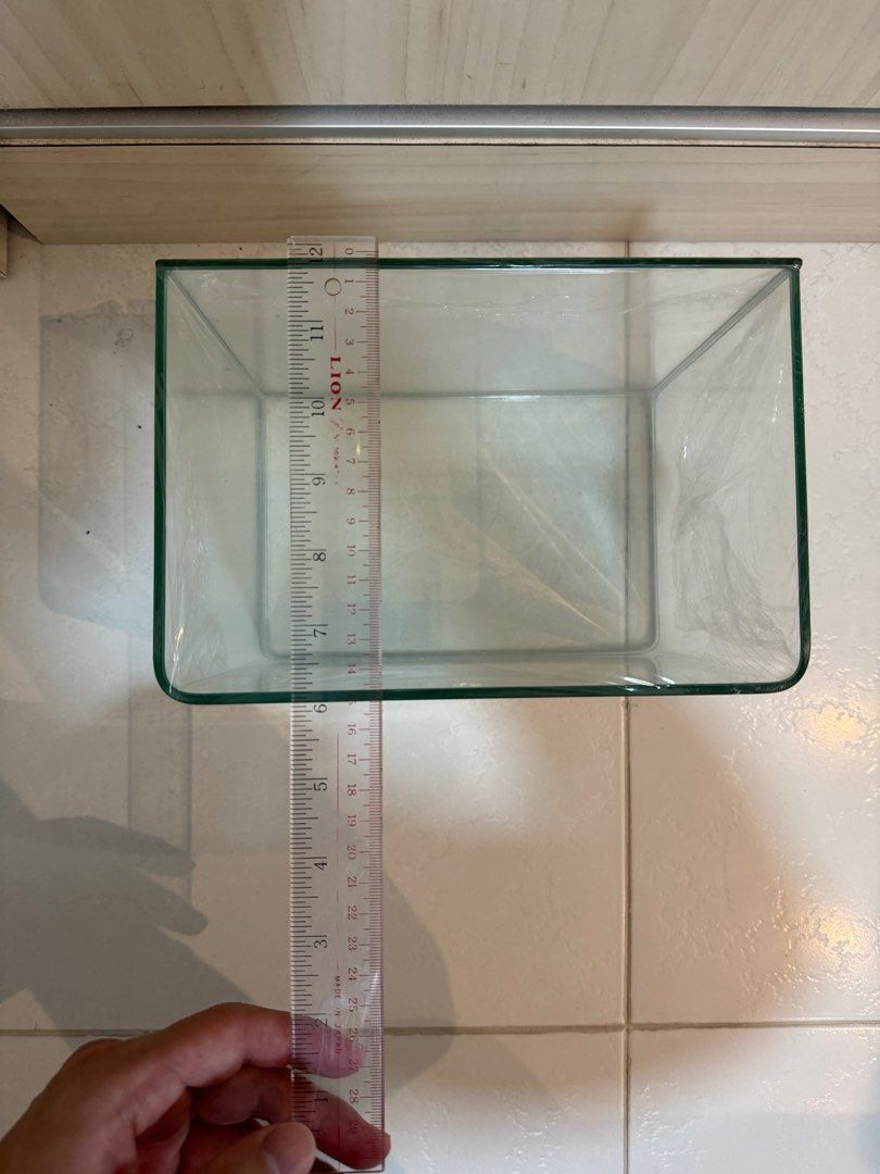 Curved edge mini fish tank, Pet Supplies, Homes & Other Pet Accessories ...