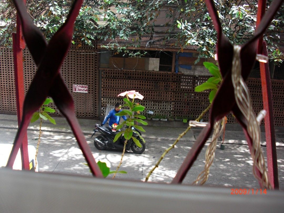 DIGICAM FS ‼️ SAMPLE SHOTS AVAIL, Mobile Phones & Gadgets, Other ...