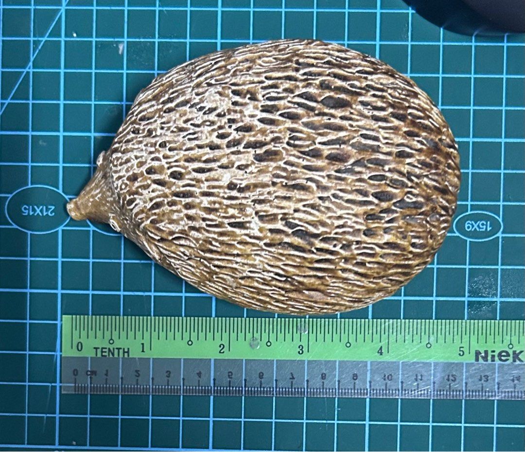 Hedgehog hamster carved stone deco, Pet Supplies, Homes & Other Pet ...