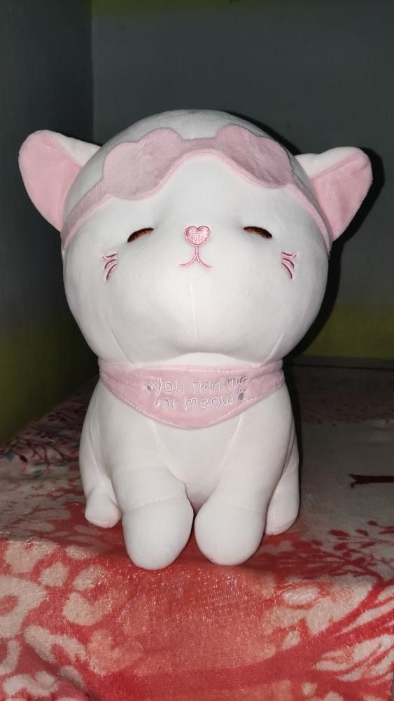 Miniso Cat Plushie, Hobbies & Toys, Toys & Games on Carousell