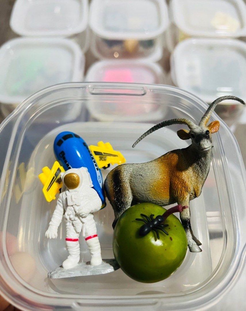 Montessori Alphabet Objects Kit Set, Hobbies & Toys, Toys & Games on ...