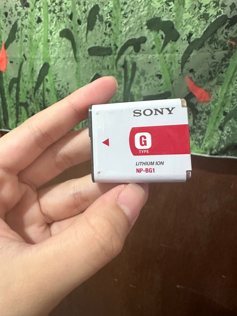 ORIG SONY G-TYPE NP-BG1 BATTERY, Photography, Photography Accessories ...