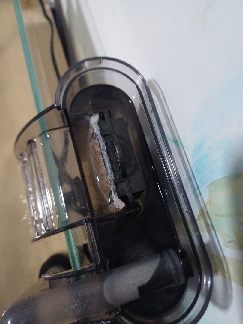 Rio slim filiter, Pet Supplies, Homes & Other Pet Accessories on Carousell