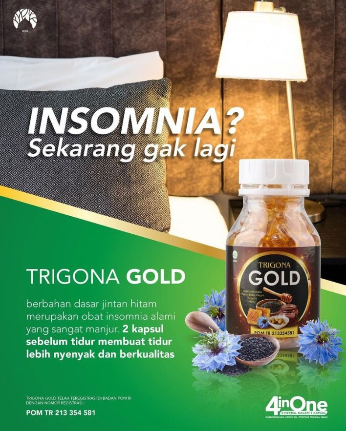 TRIGONA GOLD HABBATUS SAUDA CAPSULE [ 4 IN 1] + Extra Virgin Olive Oil ...