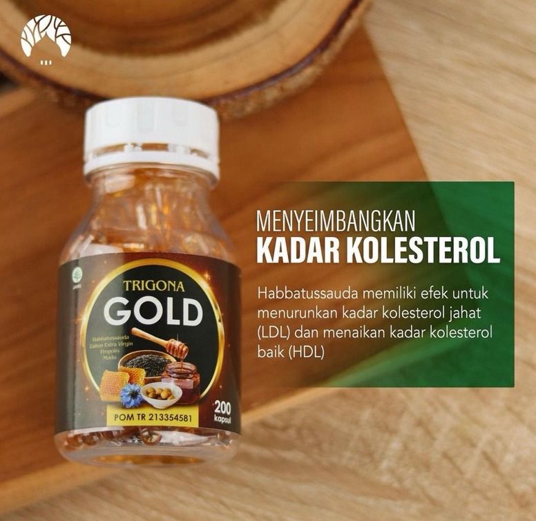 TRIGONA GOLD HABBATUS SAUDA CAPSULE [ 4 IN 1] + Extra Virgin Olive Oil ...