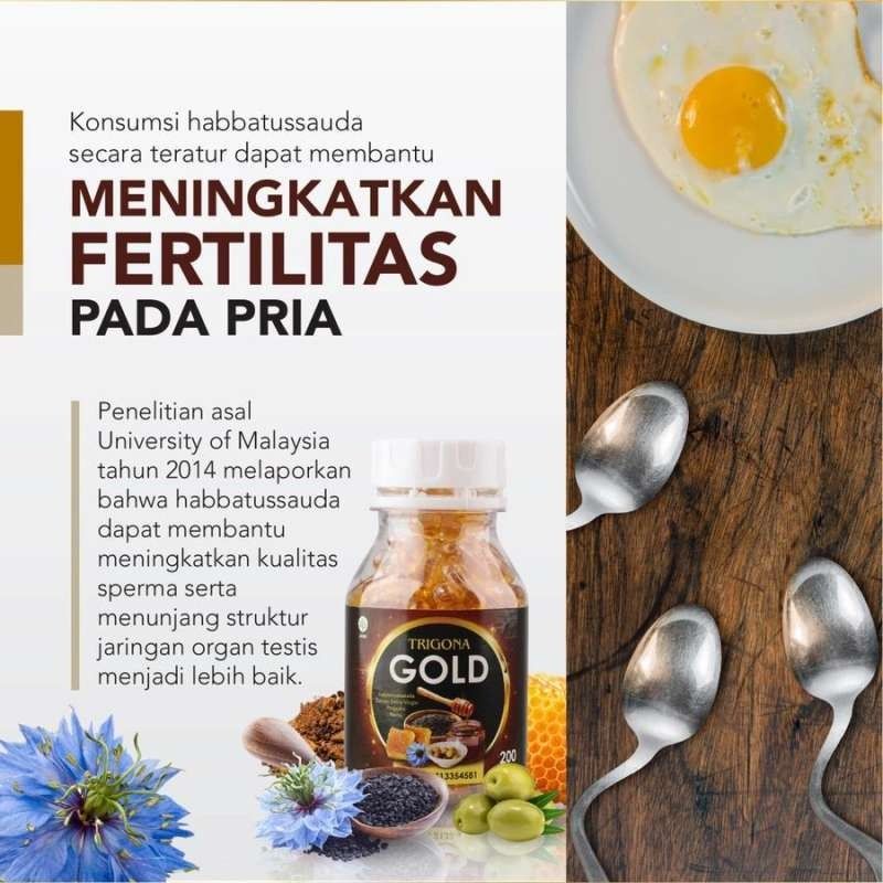 TRIGONA GOLD HABBATUS SAUDA CAPSULE [ 4 IN 1] + Extra Virgin Olive Oil ...