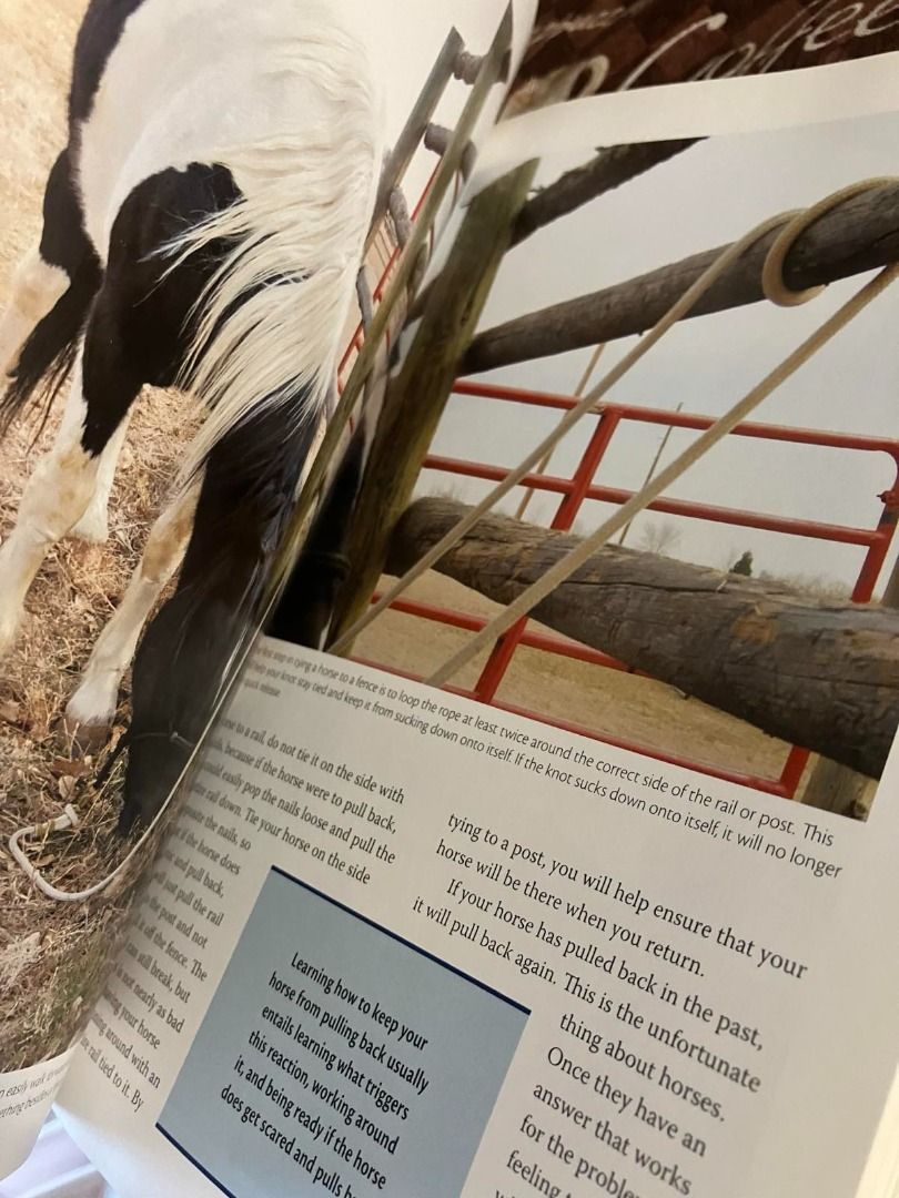 FLEXIBOUND 4-H Guide Training Horses Animal Science Zoology Pet ...