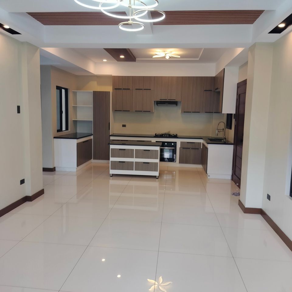 FOR SALE! 375 sqm Brand New Corner Lot Modern House and Lot at BF ...
