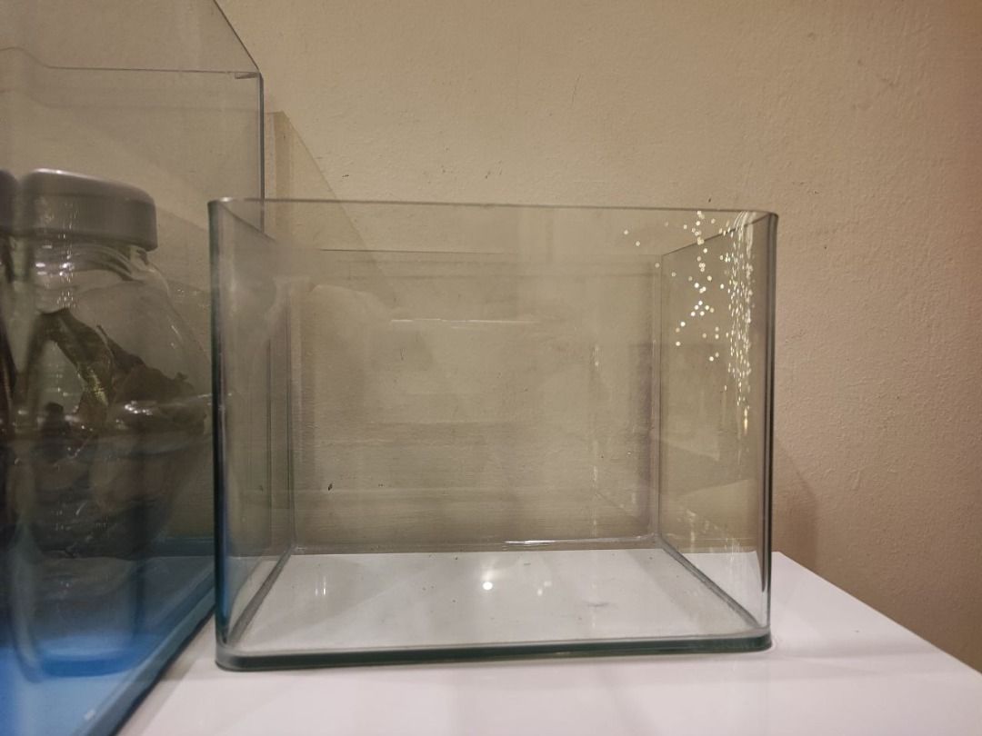 Front curved glass tank 40cm x 25cm x 26cm betta goldfish fighting fish ...