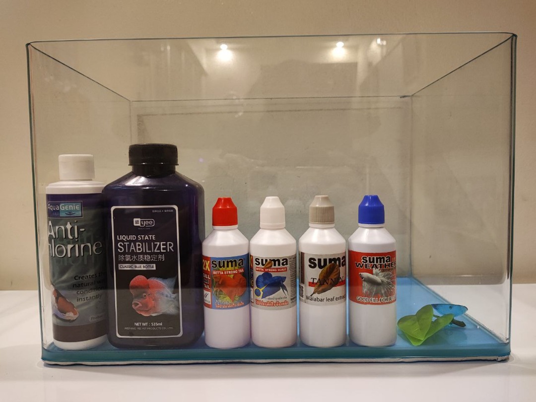 Front curved glass tank 40cm x 25cm x 26cm betta goldfish fighting fish ...