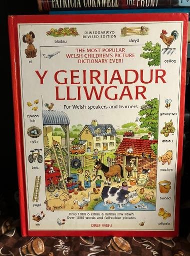 HARDCOVER Welsh Usborne Y Geiriadur Lliwgar Language Learning First ...