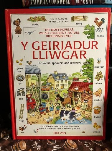 HARDCOVER Welsh Usborne Y Geiriadur Lliwgar Language Learning First ...