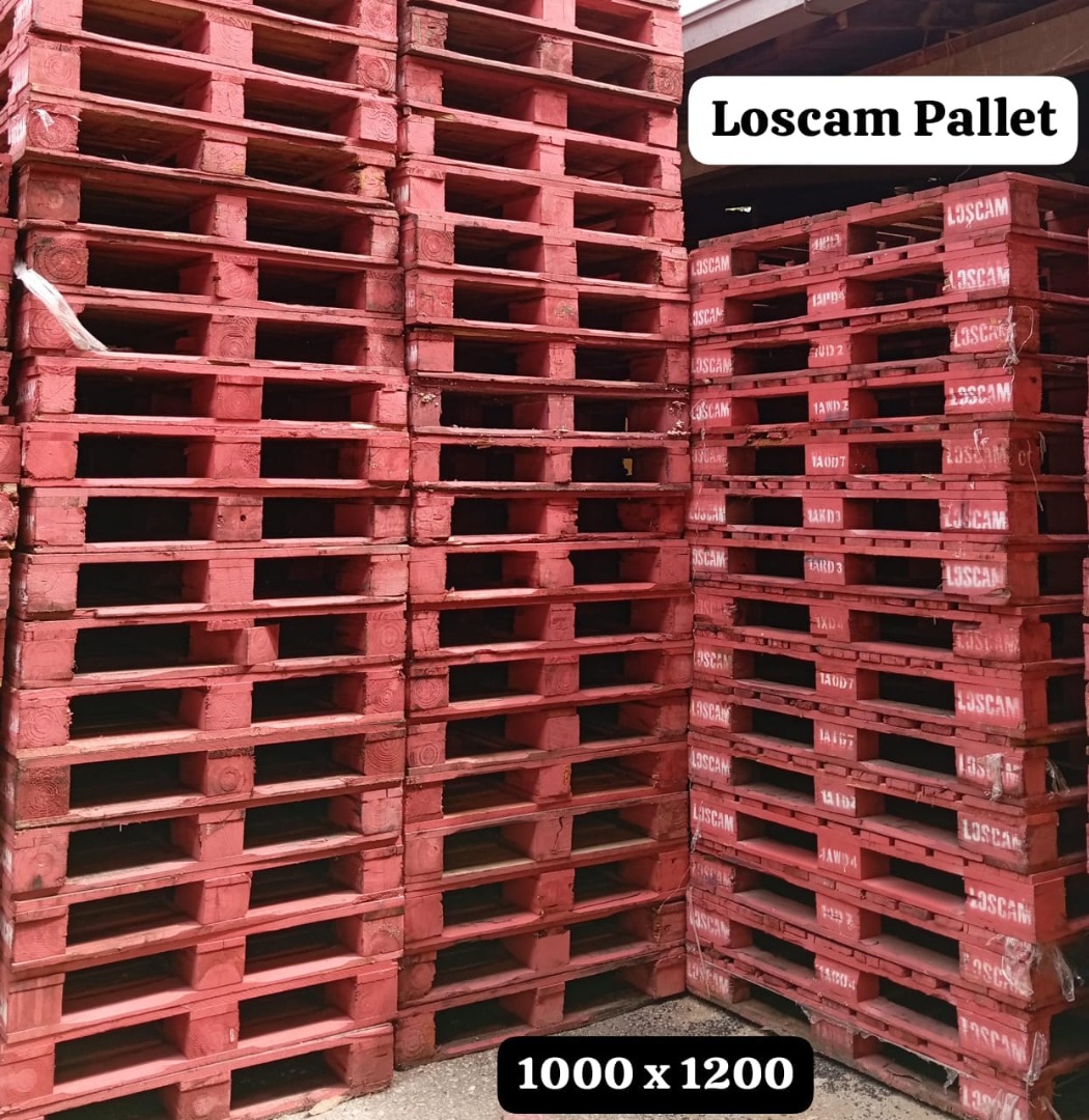 LOSCAM PALLET, Furniture & Home Living, Outdoor Furniture on Carousell
