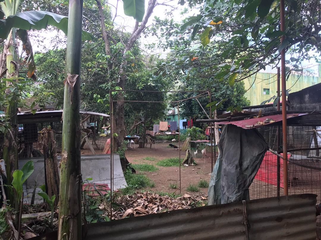 LOT FOR SALE! ANTIPOLO MAHABANG PARANG ANGONO RIZAL, Property, For Sale ...