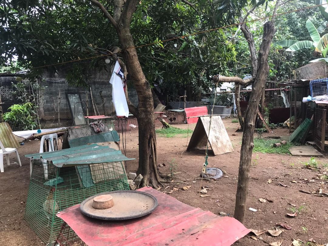 LOT FOR SALE! ANTIPOLO MAHABANG PARANG ANGONO RIZAL, Property, For Sale ...