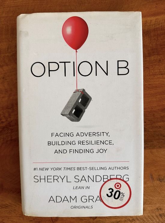 Option B: Facing Adversity, Building Resilience, and Finding Joy ...