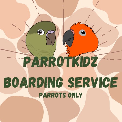 Parrot Boarding, Pet Supplies, Homes & Other Pet Accessories on Carousell