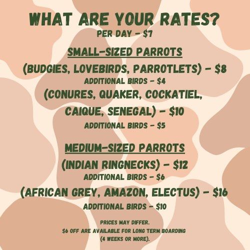 Parrot Boarding, Pet Supplies, Homes & Other Pet Accessories on Carousell