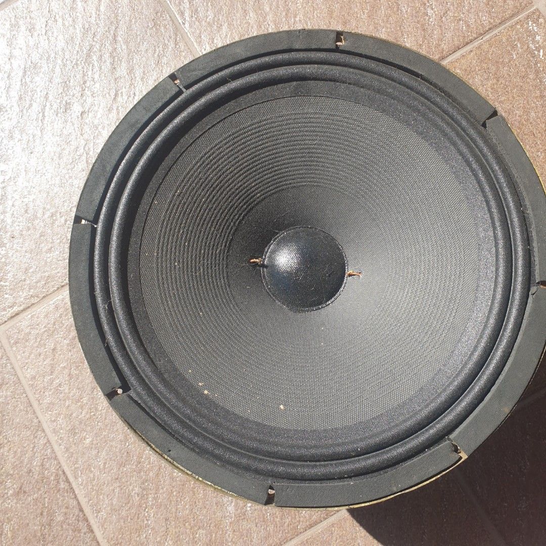 Philips 12" Fullrange AD5200M, Audio, Soundbars, Speakers & Amplifiers ...