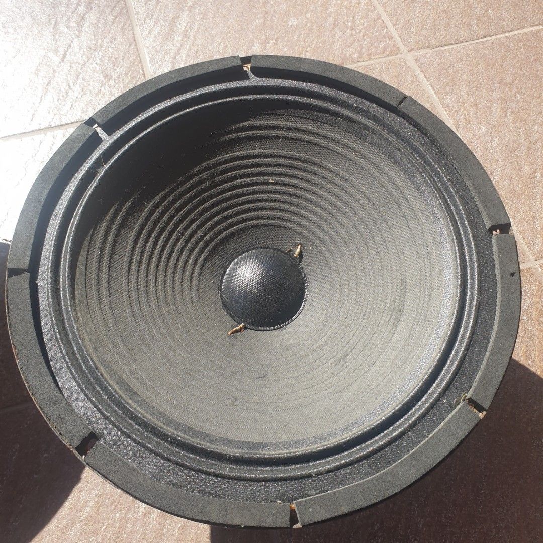 Philips 12" Fullrange AD5200M, Audio, Soundbars, Speakers & Amplifiers ...