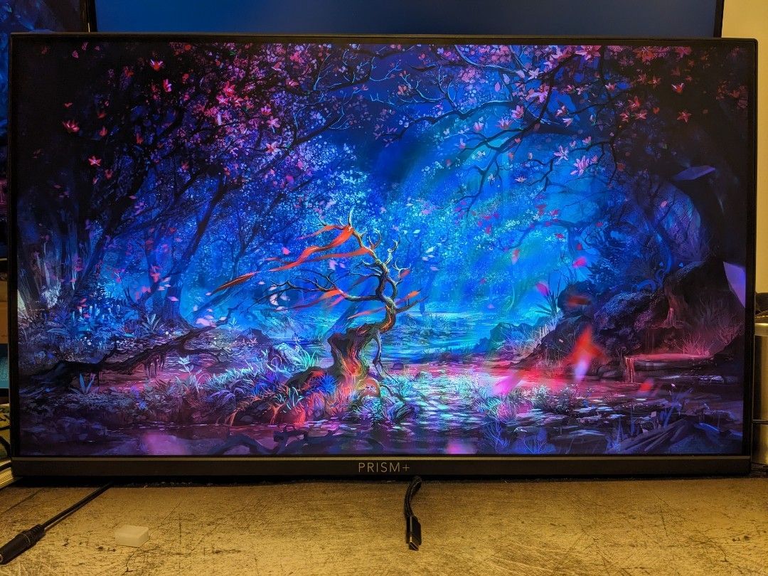 Prism F270 27 inch monitor, Computers & Tech, Parts & Accessories ...