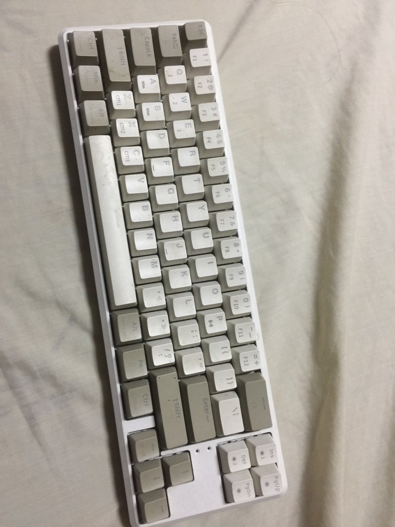 Rakk Pluma Mechanical Keyboard, Computers & Tech, Parts & Accessories ...